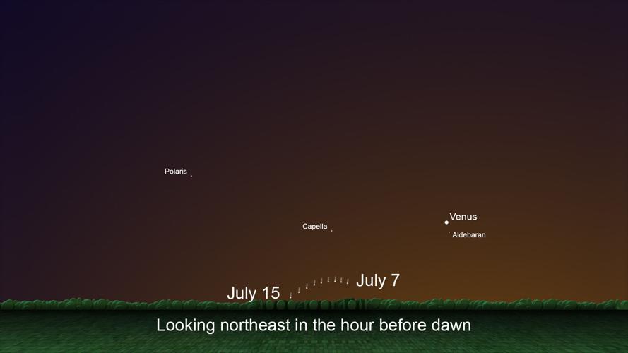COMET WATCH: How to spot Neowise, a newly discovered comet | News ...