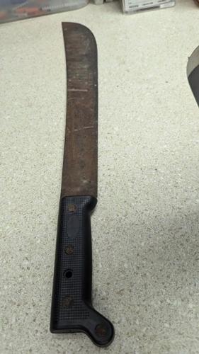 Florida teen arrested after brandishing machete outside early voting location, police say ...