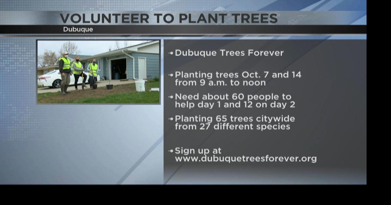 Dubuque Trees Forever seeking volunteers ahead of October plantings | Dubuque | kwwl.com