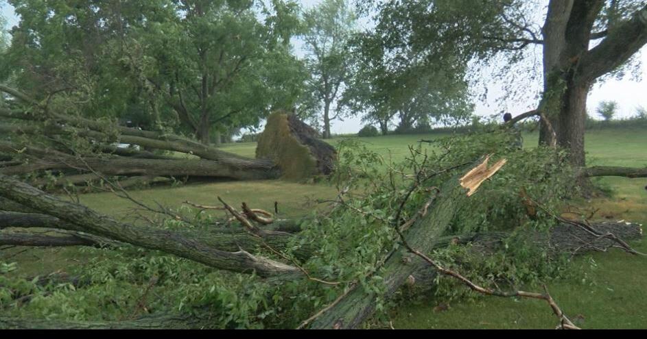 Knocked down tree branches, uprooted tree and destroyed a gazebo ...