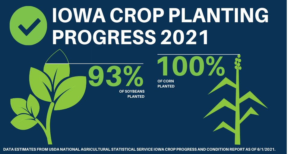 Latest Iowa crop report shows 100-percent of corn now planted, 93 ...