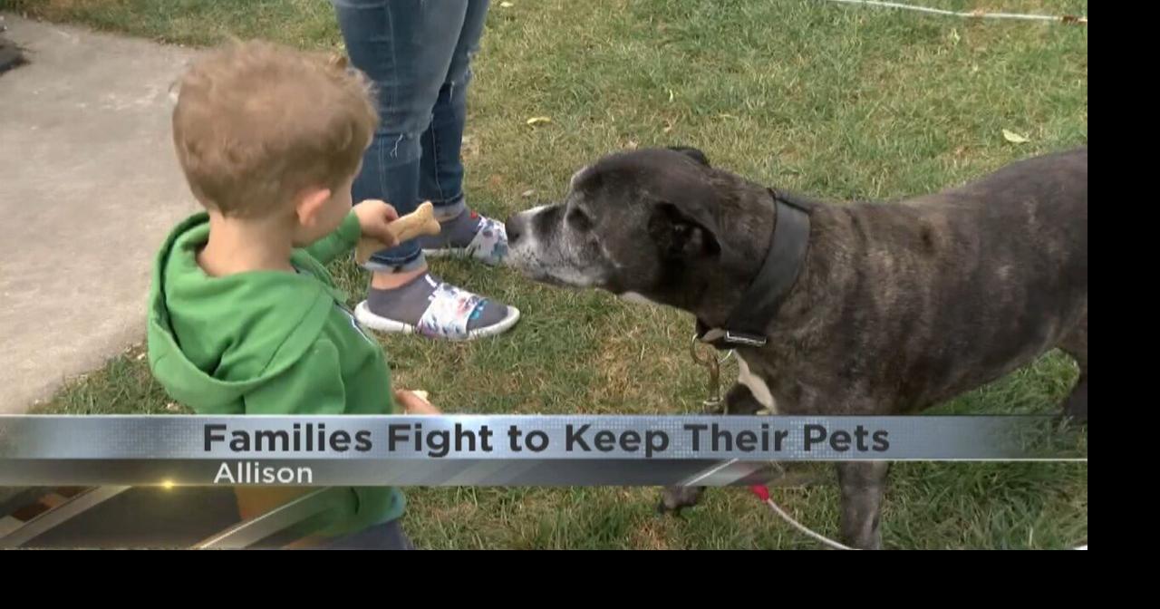 Allison families able to get their dogs back | Top Stories | kwwl.com