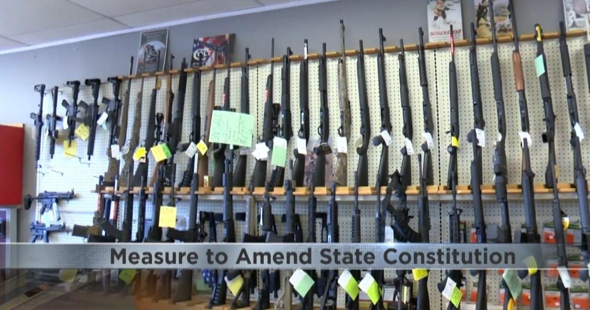 Iowans Voice Their Views Over Proposed Gun Amendment News