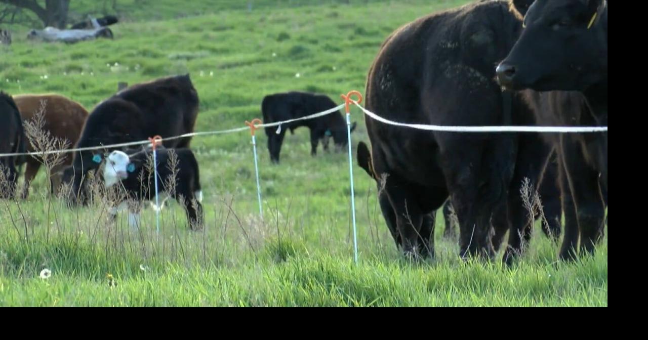 Senator Chuck Grassley Calling On Congress To Pass Bipartisan Farm Bill