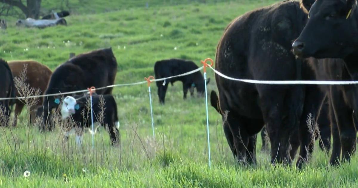Senator Chuck Grassley Calling On Congress To Pass Bipartisan Farm Bill