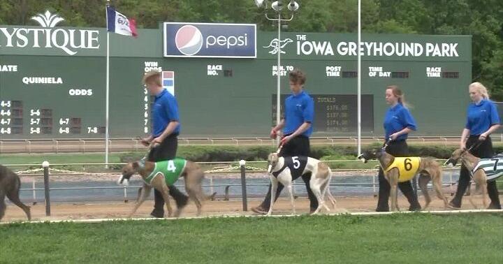 A KWWL Special Report: Greyhound racing: Going to the dogs? | Dubuque ...