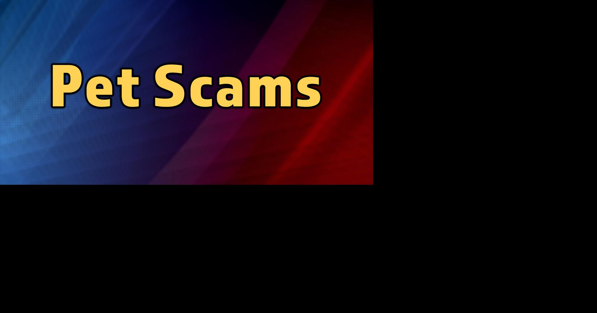 Pet scams spike during the pandemic | Things To Do | kwwl.com