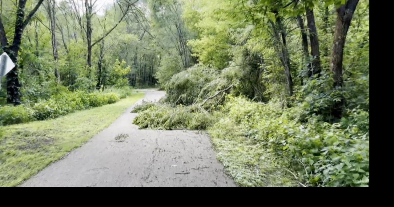 Falling trees still a risk at parks following storm cleanup | News ...