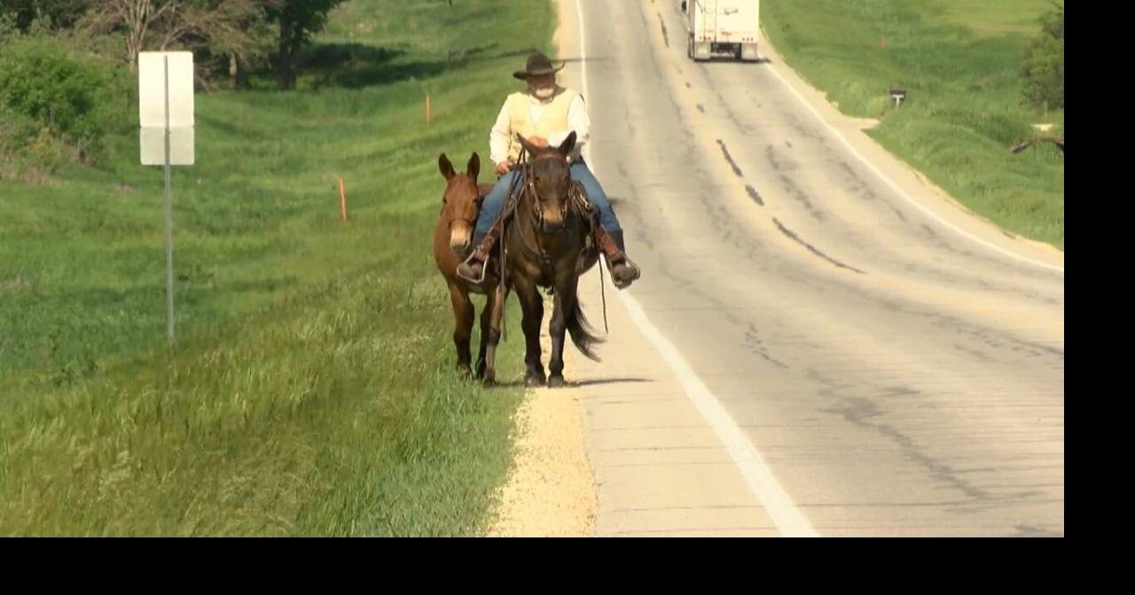 Iowa couple rides mules across the state to raise awareness for non ...