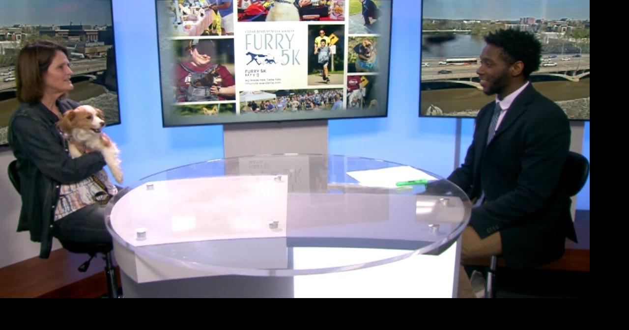 Kristy Gardner with Cedar Bend Humane Society - KWWL News at Noon ...
