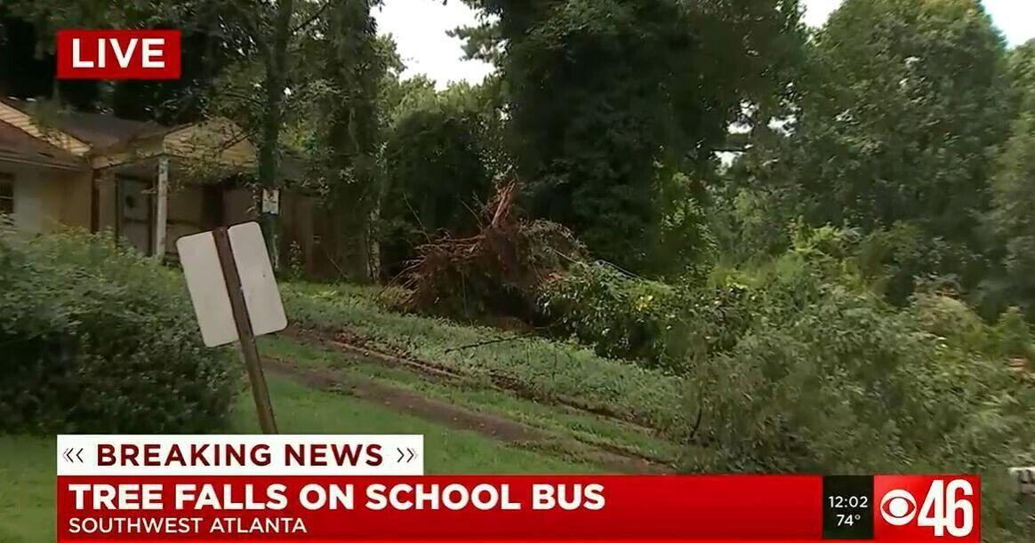 Tree falls on school bus with children on board in Atlanta | National ...