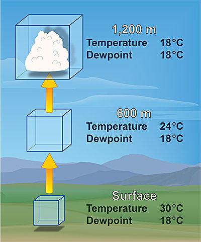 Dew Point vs Frost Point | Schnack's Weather Blog | kwwl.com