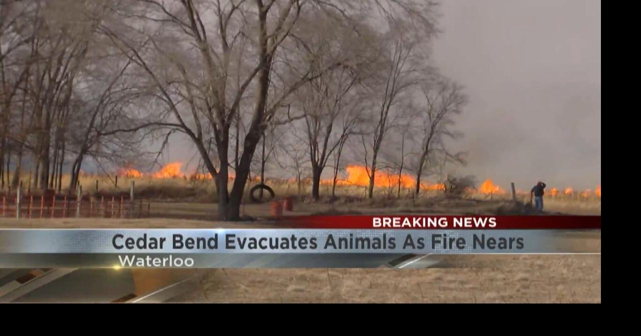 Cedar Bend Humane Society temporarily evacuates all animals due to ...