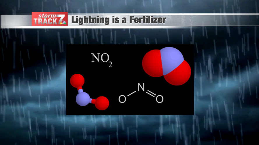 Lightning as a Fertilizer? | Schnack's Weather Blog | kwwl.com