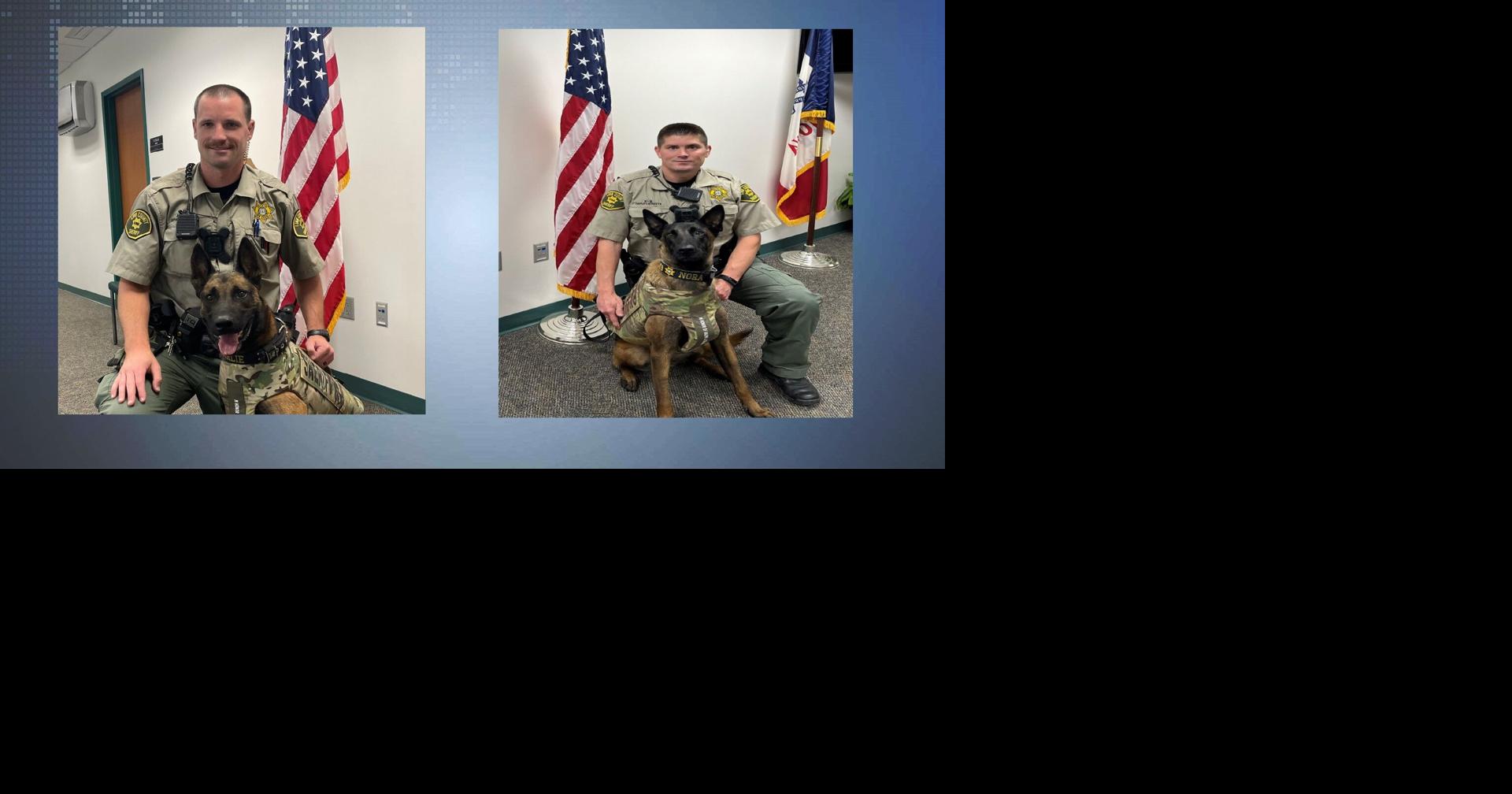 Linn County Sheriff's Office receives K9 body armor donations | News ...
