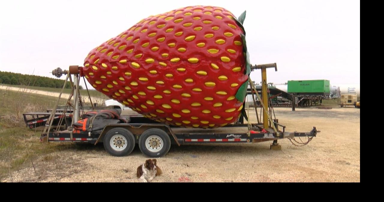 Where is the Strawberry? Strawberry Point's iconic landmark prepares to ...