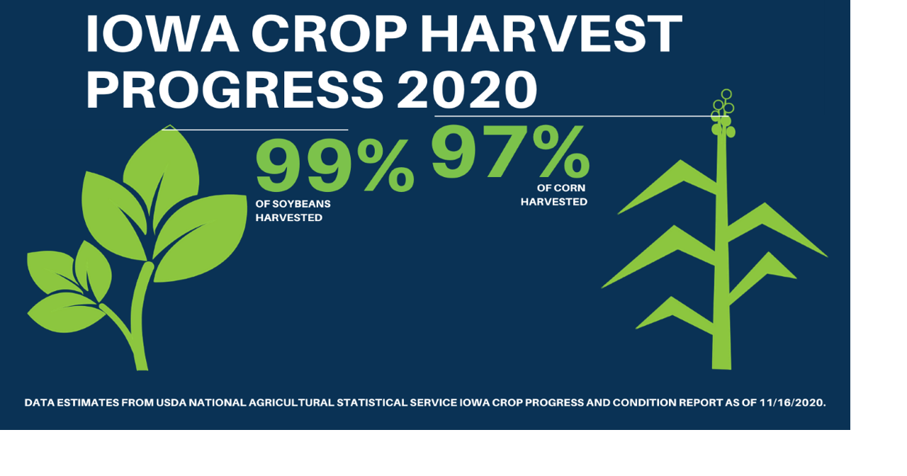 Latest Iowa crop conditions report shows 97-percent corn, 99-percent ...
