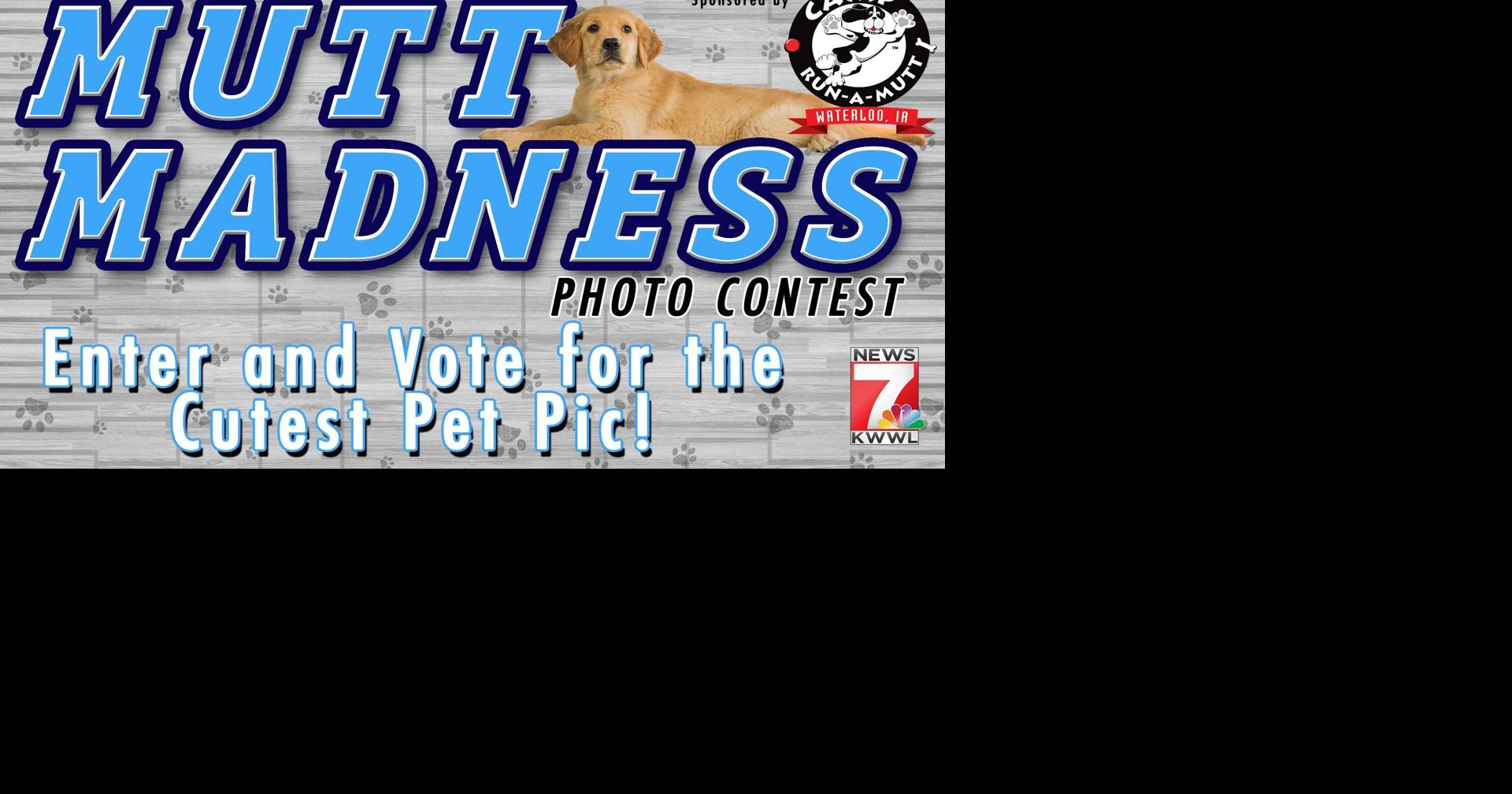 Mutt Madness | Things To Do | kwwl.com