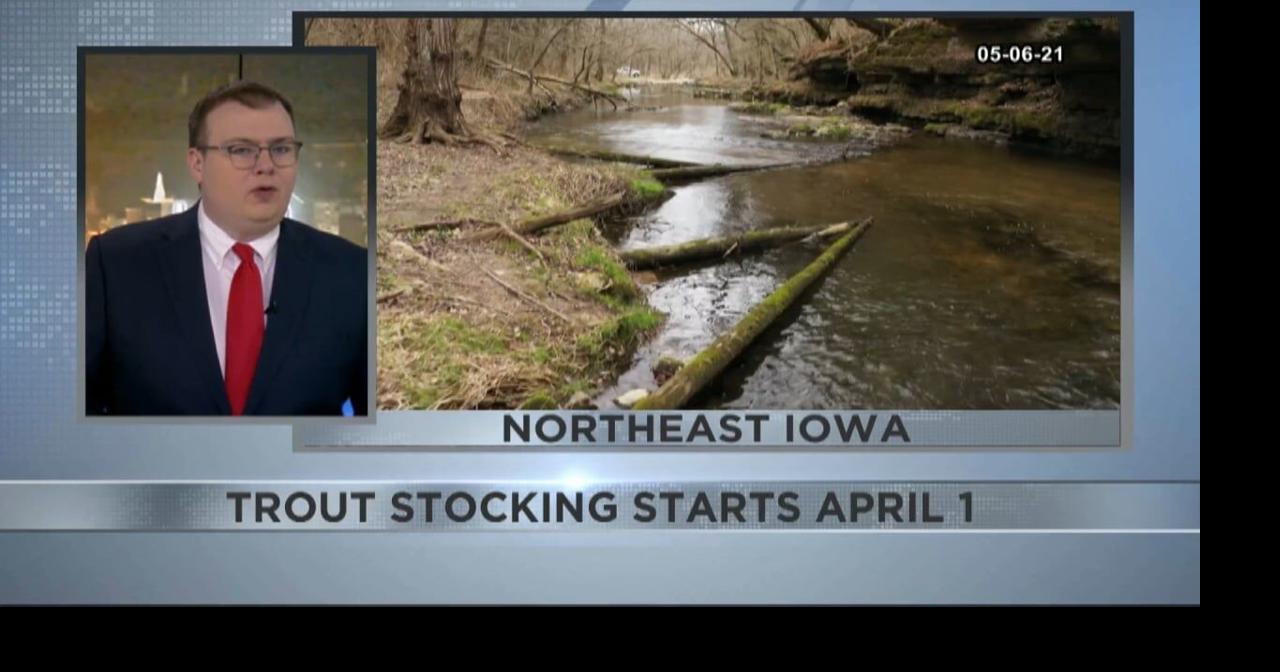 Trout fishing season coming up, DNR stocking streams April 1 | Video ...