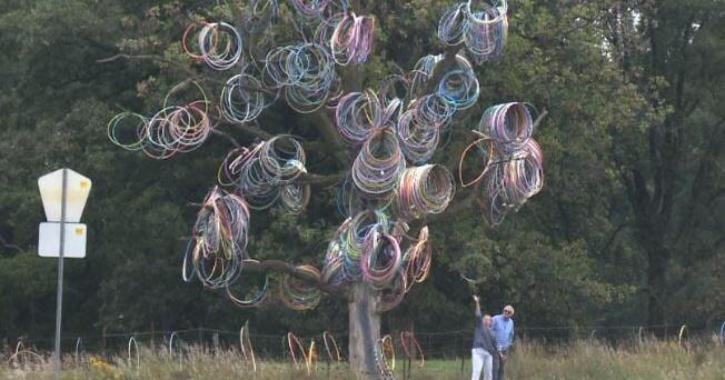 UPDATE: Speed to be reduced around Amber’s Hula Hoop Tree | Cedar ...