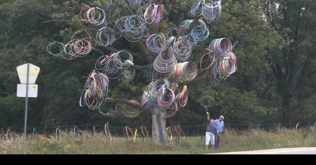 UPDATE: Speed to be reduced around Amber’s Hula Hoop Tree | Cedar ...