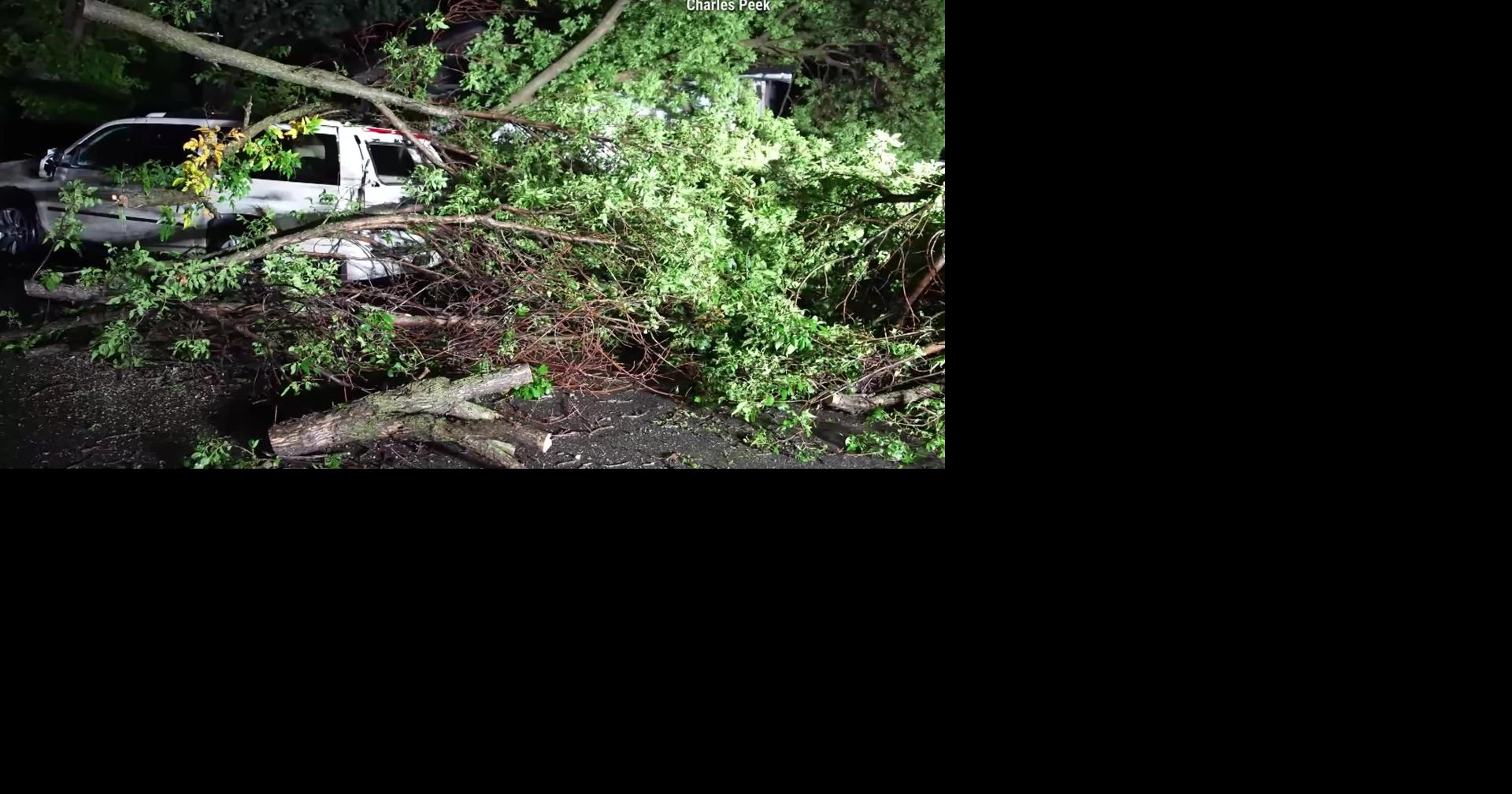 RAW VIDEO: Minnesota Storm Damage | Video | kwwl.com