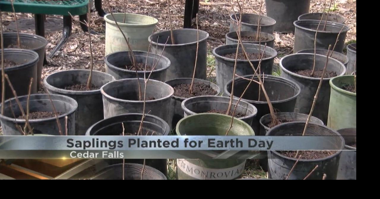Uni Students Plant Saplings On Earth Day 