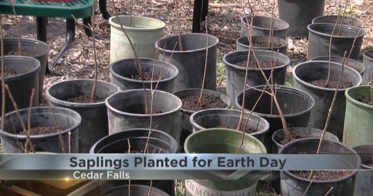 Uni Students Plant Saplings On Earth Day