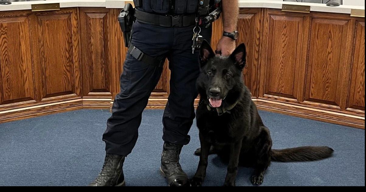 Indiana police K-9 falls ill, community steps up to support him ...