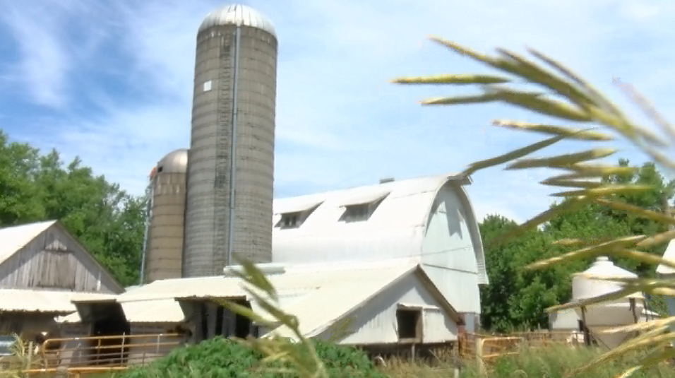 Iowa farm with silo - Mike Naig Iowa Farm Act proposed | | kwwl.com