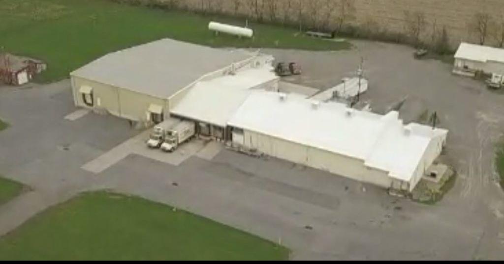 Worker dies after falling into meat grinder in Pennsylvania | News ...