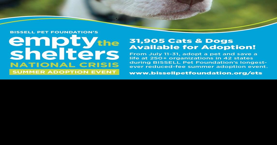 Dubuque Humane Society reducing adoption fees to "Empty the Shelters ...