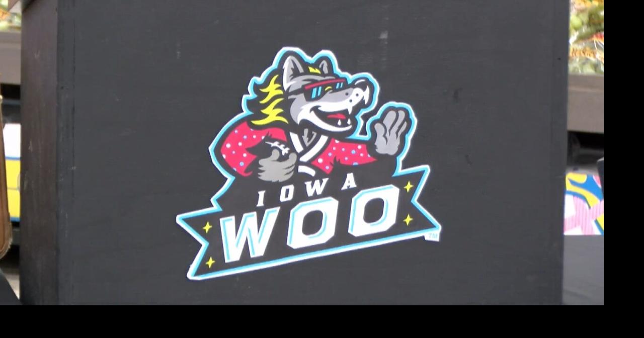 New owners and name announced for Waterloo's arena football league ...