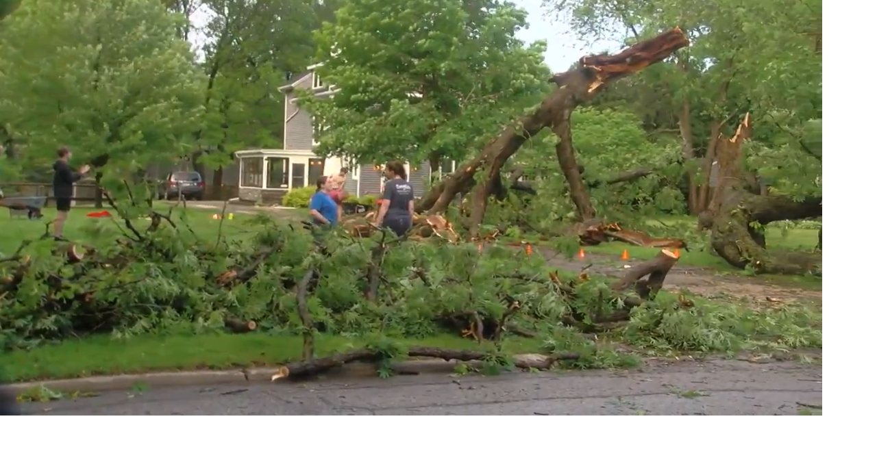 200-year-old tree falls, neighbors come together in Cedar Falls | Top ...