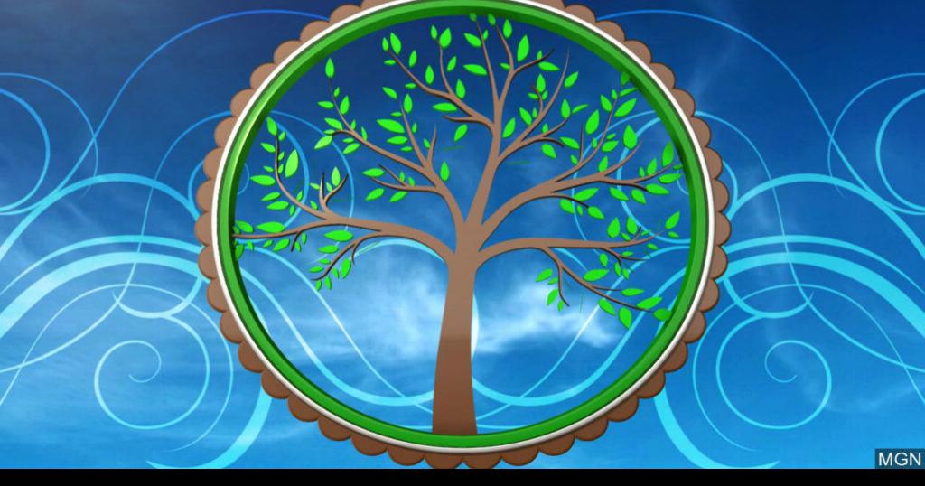 Marion named Tree City USA Growth award recipient | News | kwwl.com