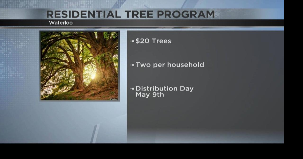 Waterloo Residential Tree Program now taking orders | Waterloo | kwwl.com
