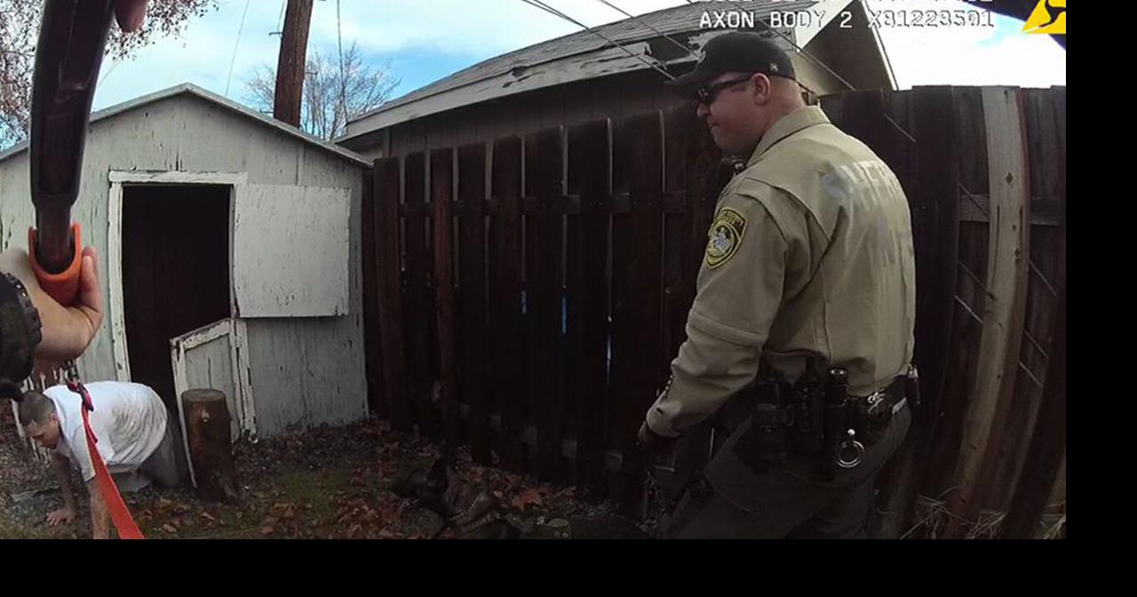 GCSO K9 helps arrest violent felon in Moses Lake | Local News | kxly.com