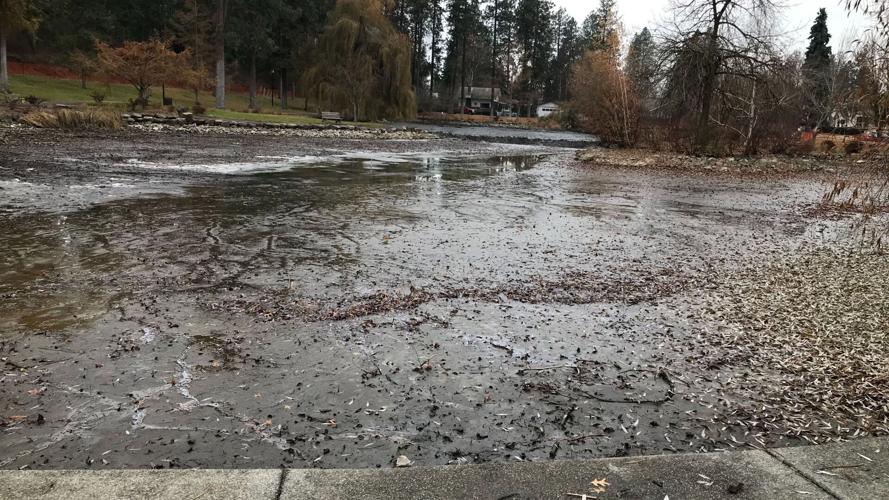 PHOTOS: Crews continue to drain pond at Manito Park | News | kxly.com