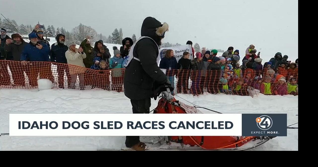 Idaho dog sled races canceled | Video | kxly.com