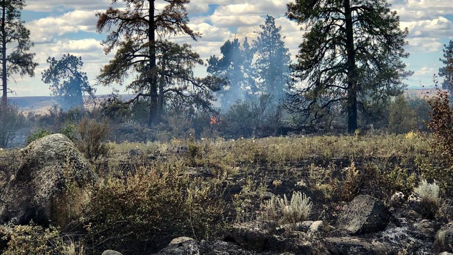 Colville Tribe Emergency crews put out wildfire on reservation ...