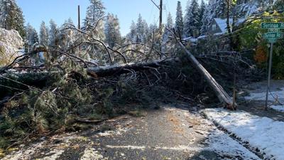 October snow storm wreaks havoc on Spokane | News | kxly.com