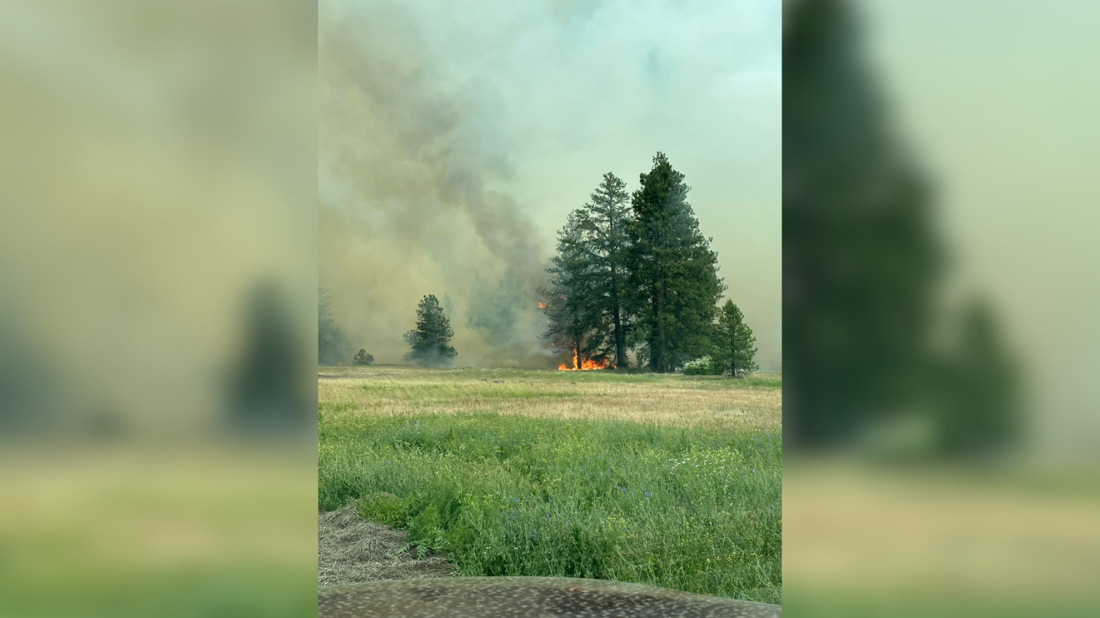 Firewatch Spokane County Fire Battling Brush Fire North Of Spangle