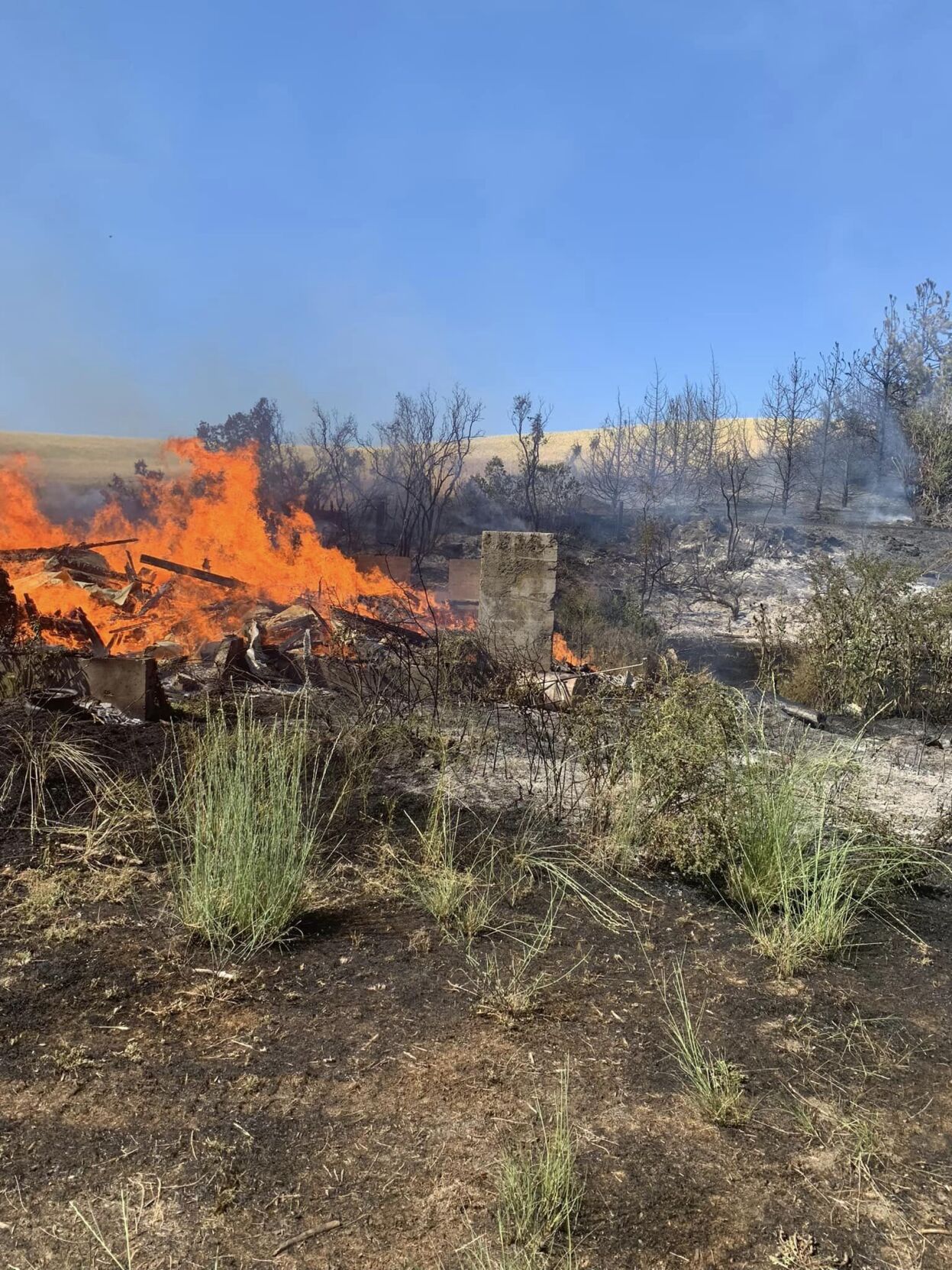 Fourth of July fire on State Route 26 in Whitman County caused by ...