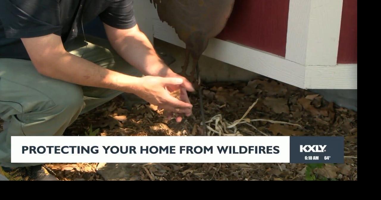 Tips for creating a firewise landscape you can implement today | News ...