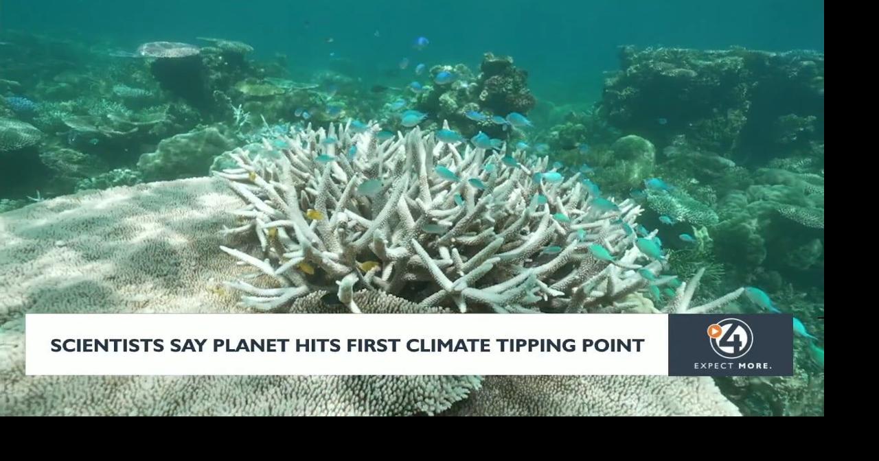Scientists say planet hits first climate tipping point | Video | kxly.com