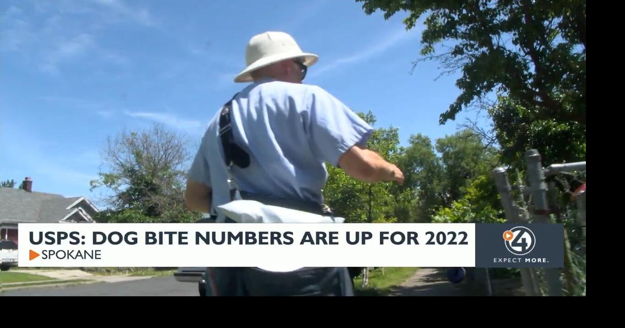 Mail carriers ask pet owners to keep their dogs secured during ...