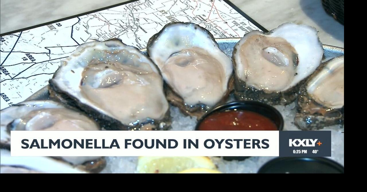Salmonella found in oysters | Video | kxly.com