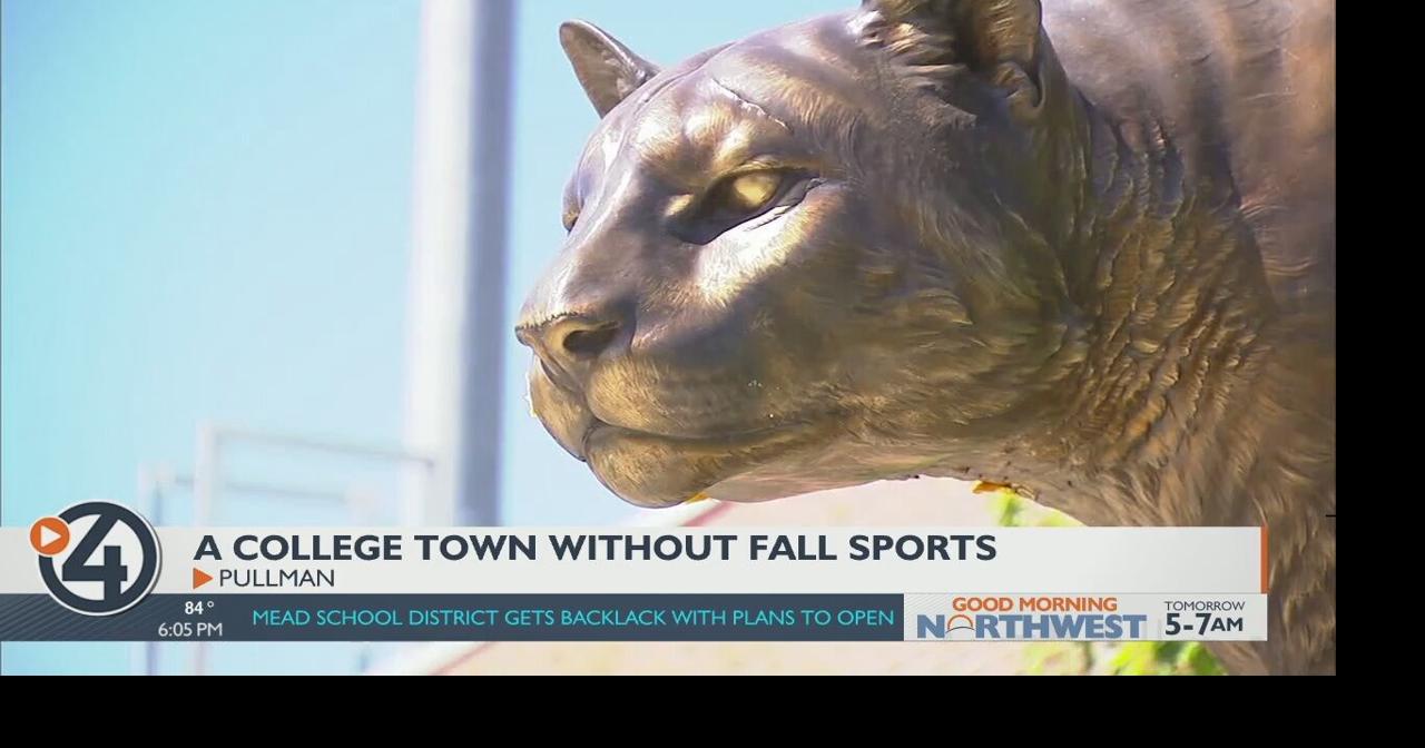 ‘Sales have plummeted’; Pullman businesses struggling amid fall sports ...