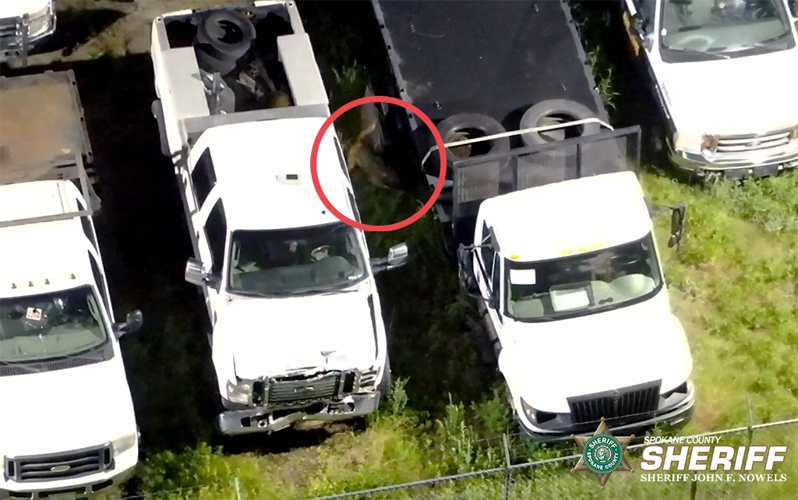 K9 unit locates suspect hiding under truck in Spokane | News | kxly.com