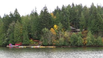 What would you need to give up to save salmon in WA? | News | kxly.com